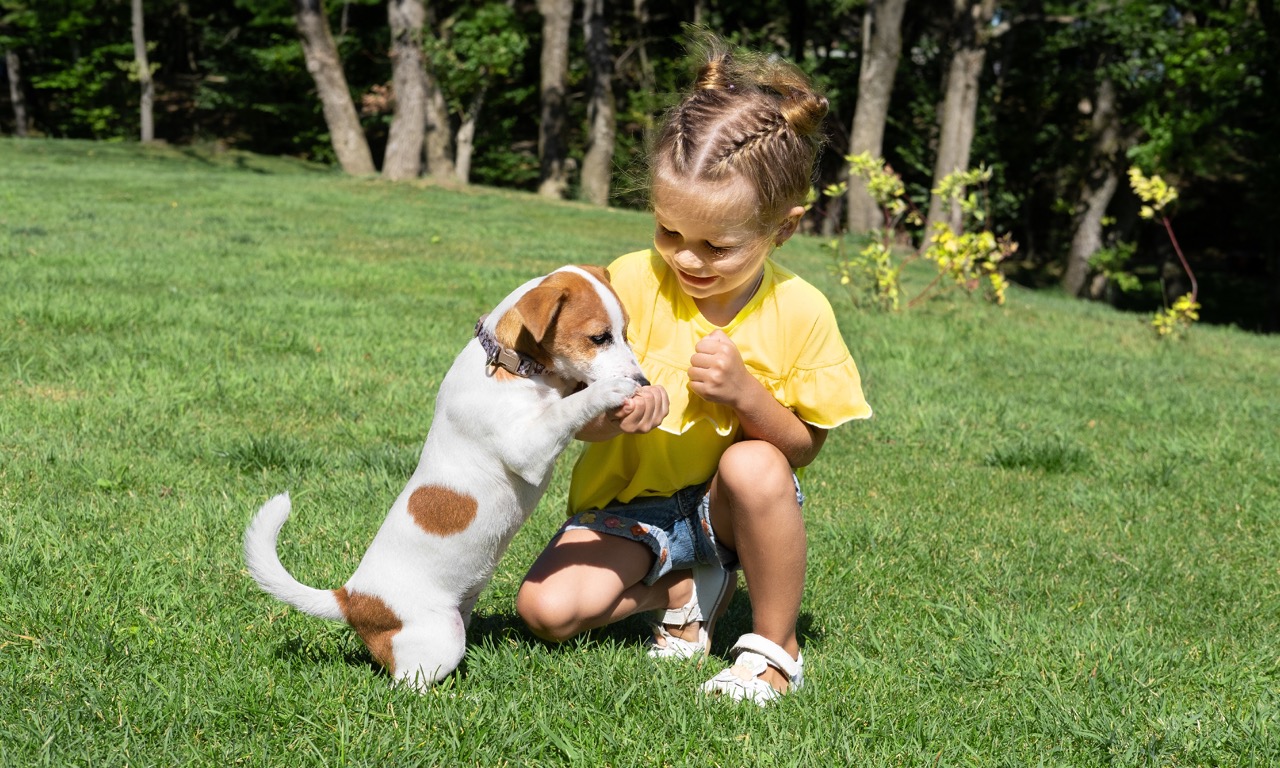 Are Pest Control Treatments Safe for Pets and People? - Brooks Pest Control